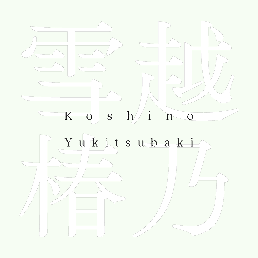 越乃雪椿 Koshino Yukitsubaki – Yoshiake